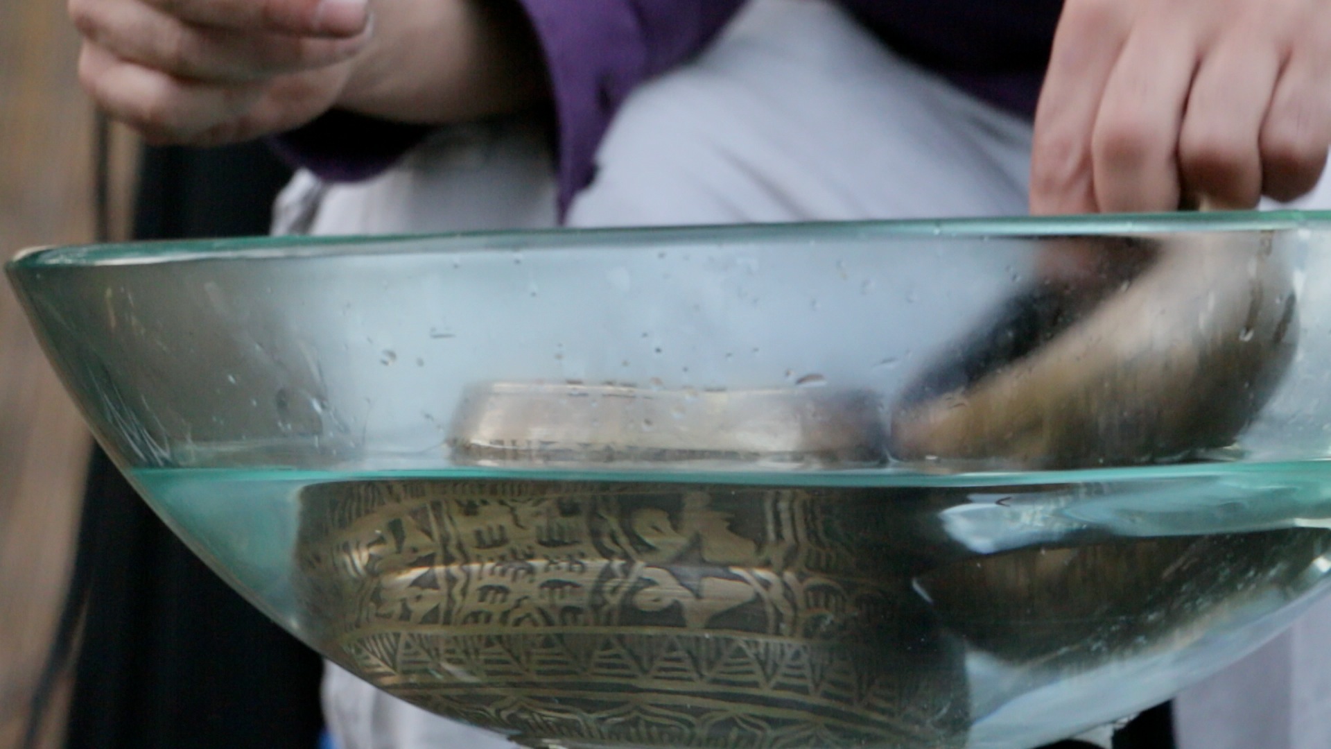 Micro Zen Orchestra – La Tribu Hérisson