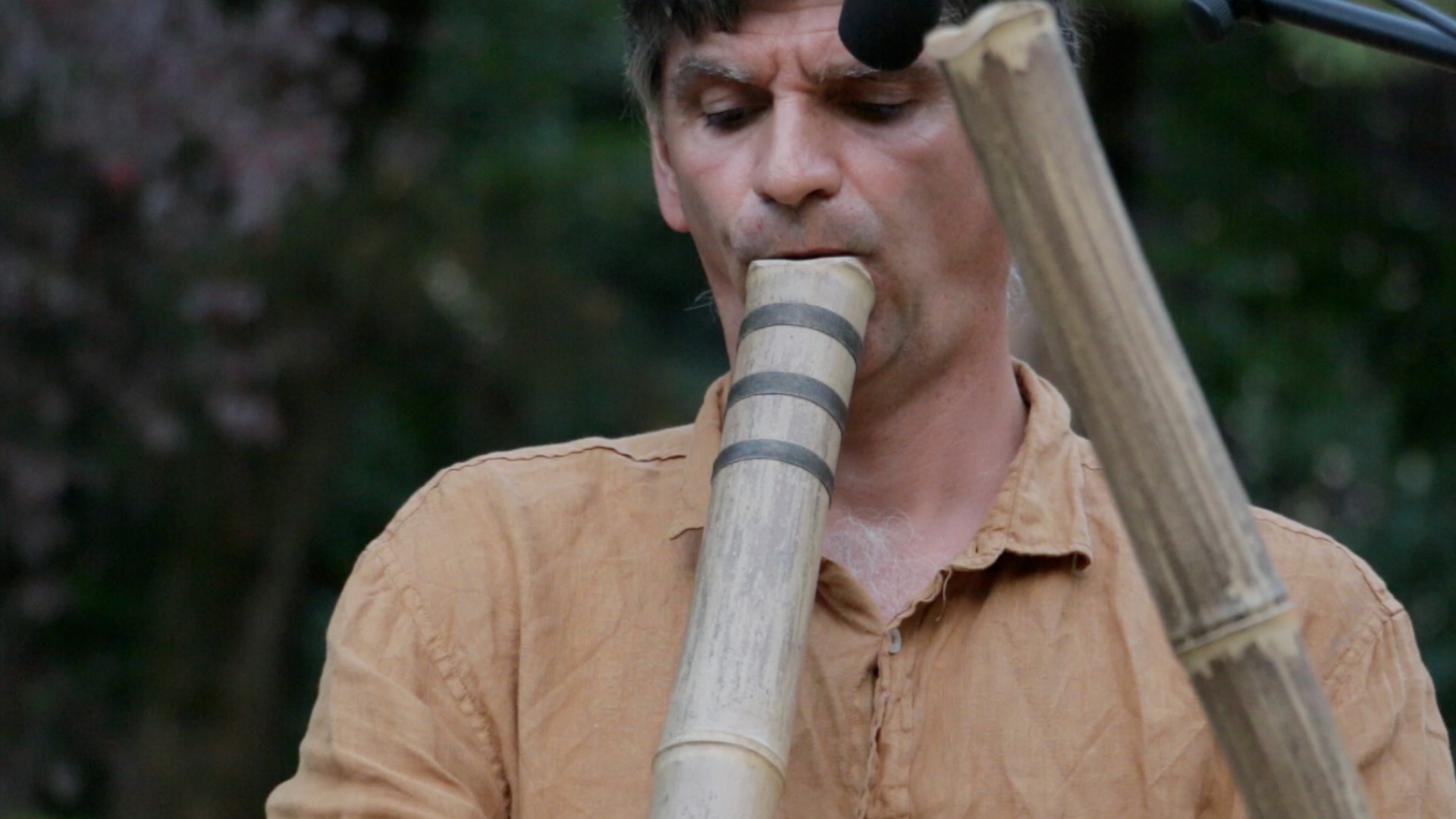 Micro Zen Orchestra – La Tribu Hérisson